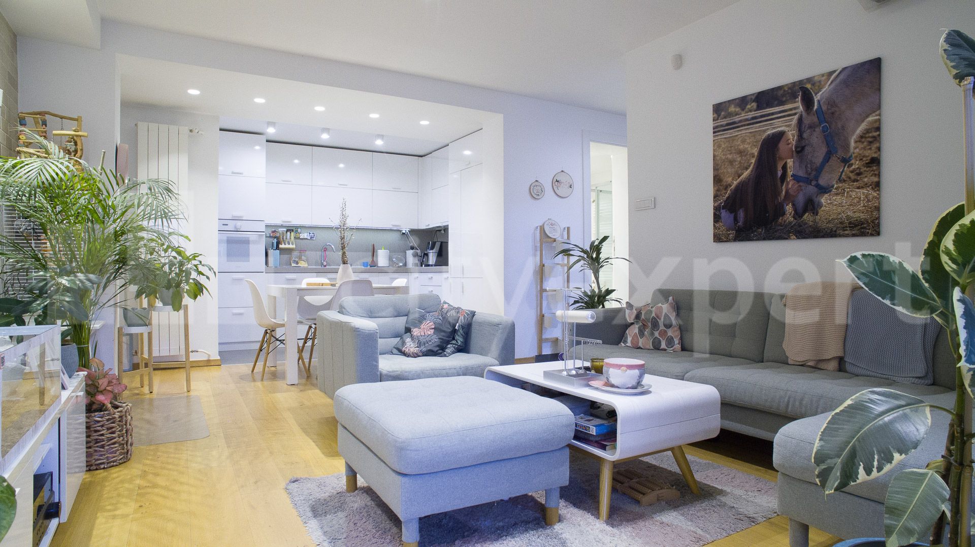 Prodaja, Stan, Boška Buhe, Novi Sad - ID: 54432 | City Expert Agencija ...