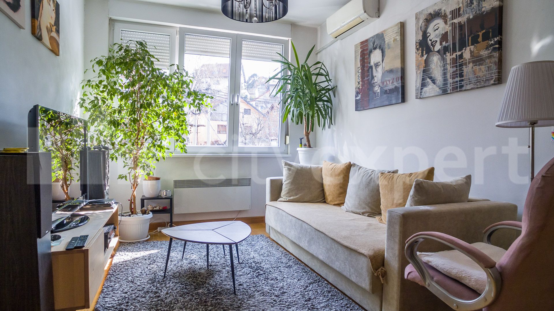 Prodaja, Stan, Pribojska, Palilula - ID: 55434 | City Expert Agencija ...