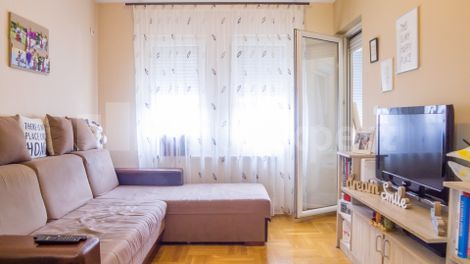 Prodaja stanova Beograd - Kupite stan bez provizije | City Expert ...